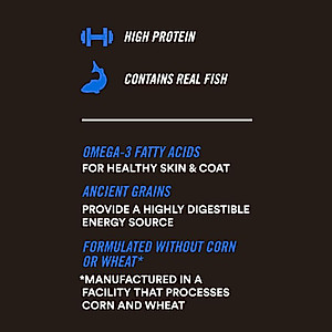 WholeHearted Active Performance White Fish & Salmon Recipe Wet Dog Food with Whole Grains, 12.5 oz., Case of 12