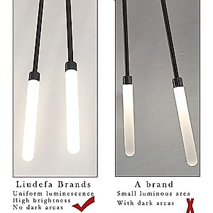 51 Inch Dimmable LED Ceiling Light Fixture,42 Lights Ceiling Lights Flush Mount Chandelier Black Indoor Lighting for Living Room,42W+12W Firework Deco Close to Ceiling Light with Remote Control