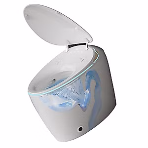 Smart Bidet Toilet with Warm Water Sprayer & Dryer,One Piece Bidet Toilet for Bathrooms, Electric Tankless Toilets with Foot Sensor Operation, Heated Bidet Seat,Elongated Toilet with LCD Display-White