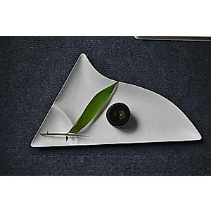 WASARA DM-013R Medium Plate, White, 10.3 inches (26.1 cm), 6 Pieces