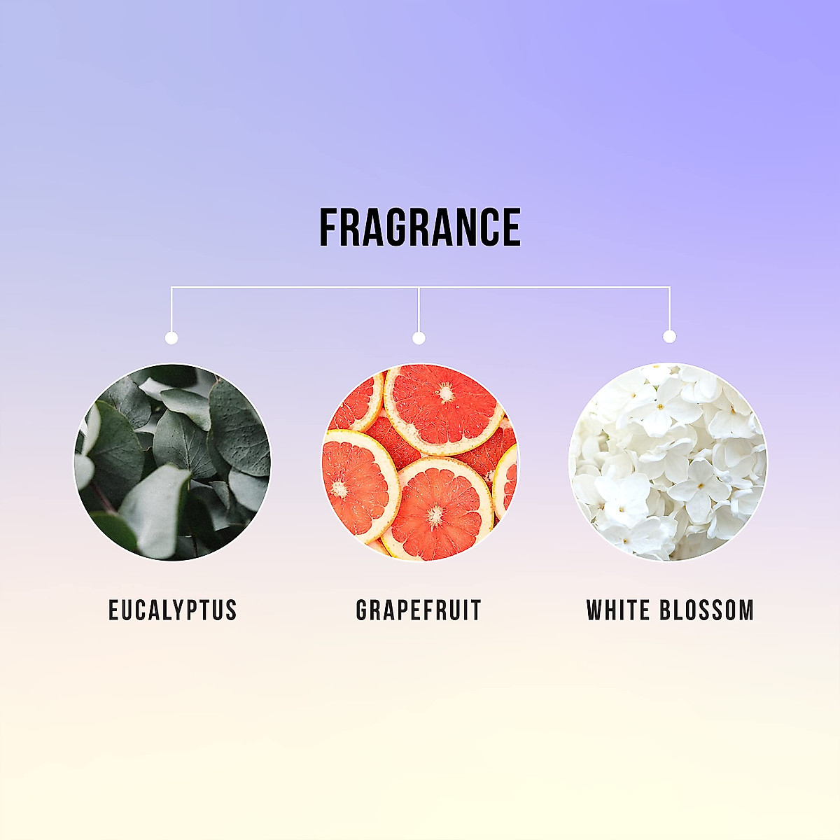 HASK Biotin Boost Thickening Conditioner, 12 Fl Oz