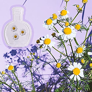 40 Pcs Flower Bookmarks Pressed Flower Bookmark Dried Flower Bookmarks DIY Bookmarks Clear Drift Bottle Bookmark for Woman