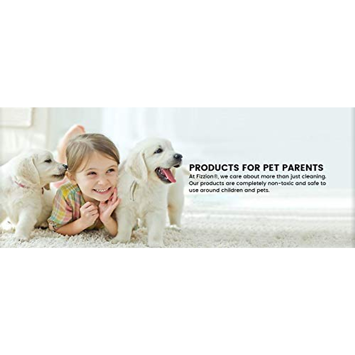 Fizzion Pet Stain and Odor Remover (6 Tablets, Original)