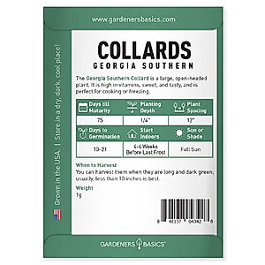 Collard Greens Seeds for Planting - Georgia Southern Non-GMO Vegetable Variety- 1 Gram Seeds Great for Summer, Fall and Winter Gardens by Gardeners Basics