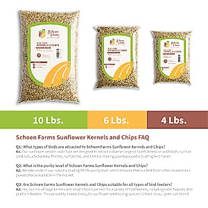 Schoen Farms Sunflower Kernels and Chips (6 LBS) Hearts, Bird Seed