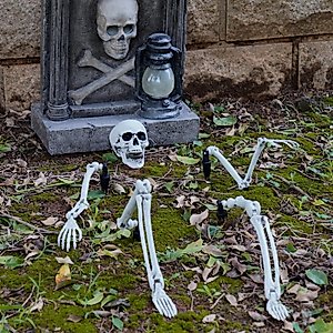Newman House Studio Skeleton Halloween Decor Skull Decorations - 5Pcs/Set Realistic Halloween Skeleton for Outdoor Yard Halloween Decorations Lawn Garden Graveyard Party Supplies