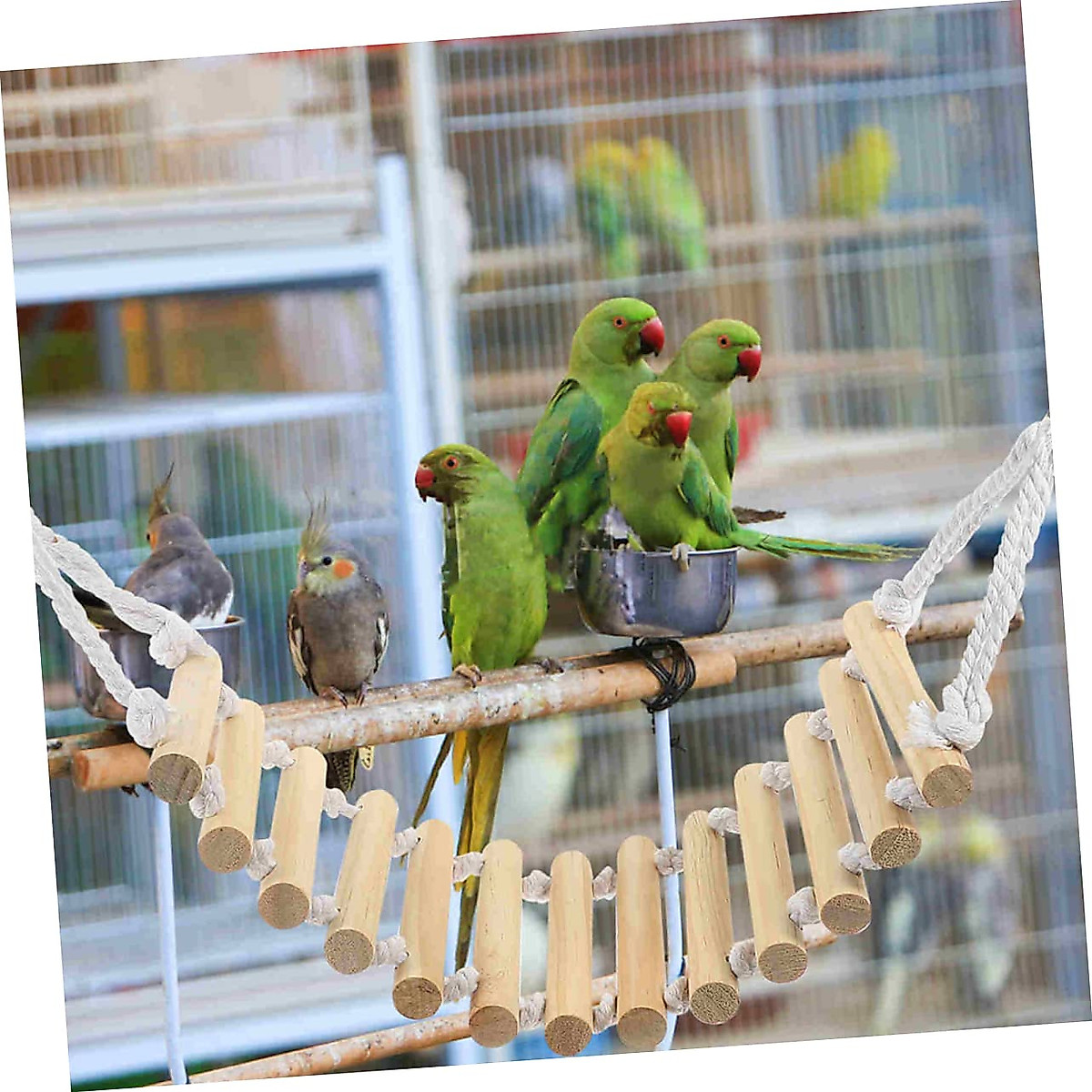 FRCOLOR 3pcs Wooden Climbing Ladder Turtle Platform Pet Ladder Bridge Wooden Reptile Ladder Bird Cage Ladder Hanging Bird Ladder Parakeet Wood Ladder Lizards Bridge Hamster Playing Large