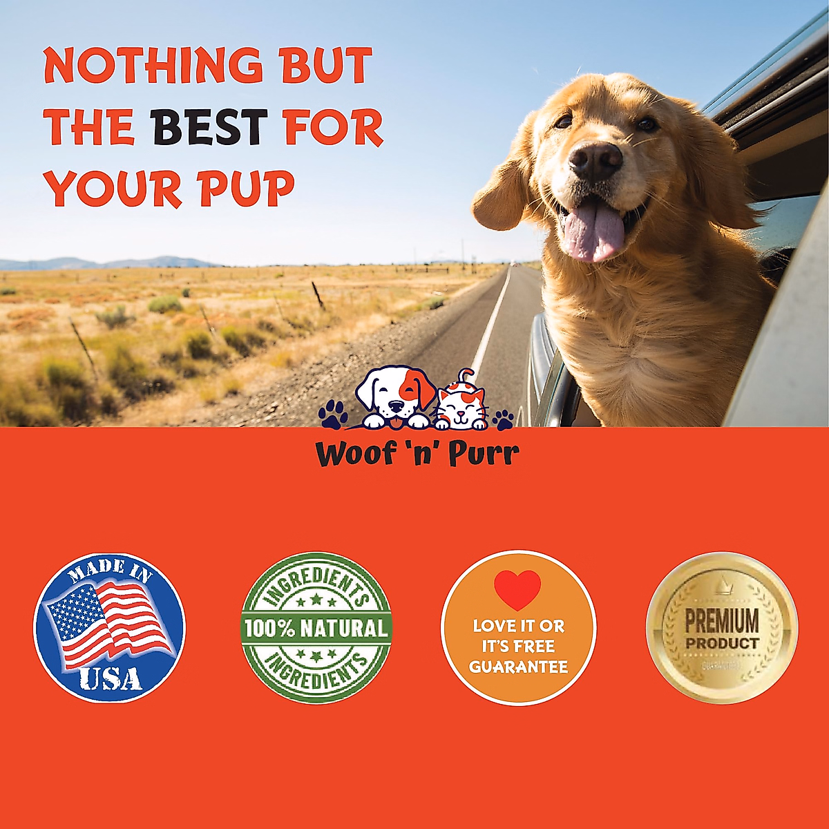 Cranberry Supplement for Dogs - Dog UTI Treatment - Dog Cranberry Supplement - Cranberry for Dogs - Dog UTI Cranberry - Dog UTI - UTI Treatment for Dogs - UTI Dogs - 1 fl oz - Bacon Flavor