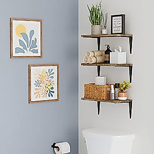 Wallniture Arras 17"x8" Wall Bookshelves for Living Room Decor Kitchen Organization Office Decor, Shelves for Bedroom & Bathroom Storage Set of 3, Burnt Finish