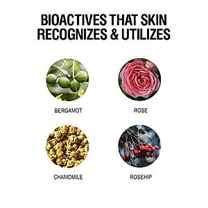 Grown Alchemist Refillable Body Cleanser Bundle Kit: Chamomile, Bergamot, Rose. Gentle Body Wash that Hydrates and Cleanses Skin