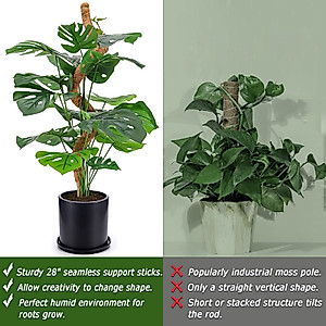 28 Inch Moss Pole, 2 Pack Bendable Moss Pole for Plants Monstera, Moss Poles for Climbing Plants Indoor, Handmade Coco Coir Plant Pole Sticks Support Stakes for Potted Plants