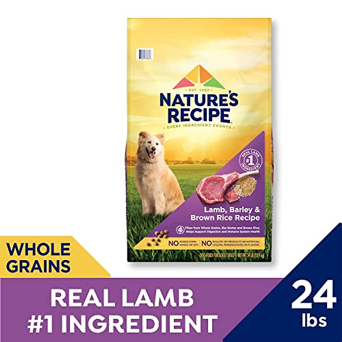Nature’s Recipe Original Dry Dog Food for Adult Dogs, Lamb & Rice Recipe, 24 lb Bag