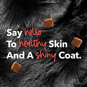 iHeartDogs Omega 3-6-9 for Dogs - Skin and Coat Fish Oil Supplement for Dogs with Pure Antarctic Krill Oil - Allergy & Itchy Skin Relief Chews, 120 Count