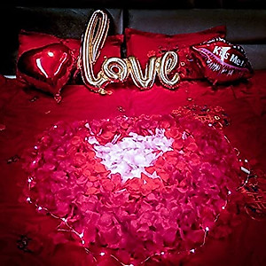 DoraMagic Dried Red Rose Petals, Real Natural Dried Rose Petals 1.75oz/50g for Bath, Soap Making, Candle Making, Wedding, Confetti, DIY Crafts, Non Edible