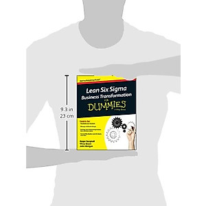 Lean Six Sigma Business Transformation For Dummies