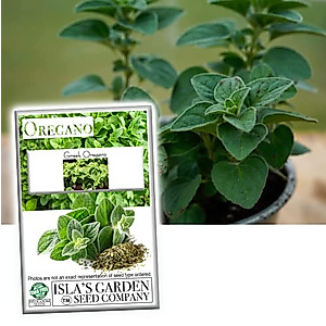 Greek Oregano Herb Seeds for Planting, 2500+ Seeds Per Packet, (Isla's Garden Seeds), Non GMO & Heirloom Seeds, Botanical Name: Origanum vulgare, Great Herb Garden Gift