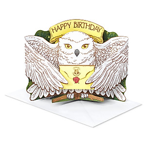 American Greetings Pop Up Harry Potter Birthday Card (Filled with Magic!)