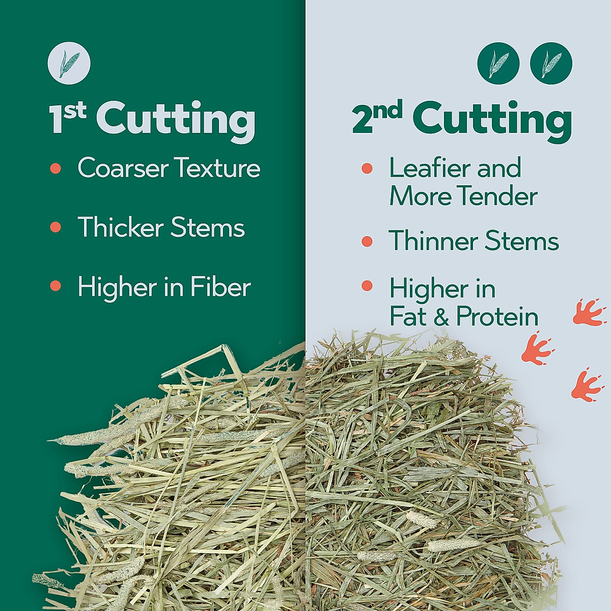 Andy Organic Timothy Hay Rabbit & Guinea Pig Food, 15 Lb Box, 1st Cut Timothy Hay, Premium Hay for Rabbits, Chinchilla, Gerbil, and Small Pet Treats