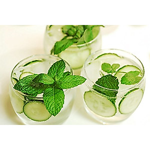 Grown in USA! 30+ Muncher Burpless Sweet Cucumber Seeds, Heirloom Non-GMO, Non-Bitter and Acid Free, Crispy and Sweet, Fragrant and Delicious, Cucumis sativus