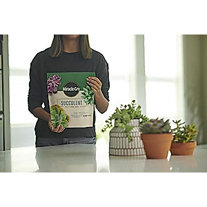 Miracle-Gro Succulent Potting Mix: Fertilized Soil with Premium Nutrition for Indoor Cactus Plants, Aloe Vera and More, 4 qt.