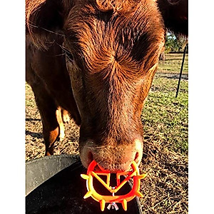 TIHOOD 10PCS Cow Nose Ring Farm Livestock Animal Weaner Red Plastic Weaning Tool for Calf Cattle Prevent Sucking