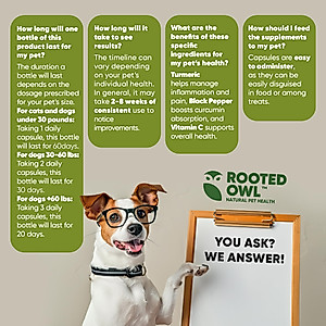 Rooted Owl Turmeric - Turmeric Supplement for Dogs and Cats - with Curcumin, Piperine and Vitamin C for Anti-Inflammatory Relief - 60/ct