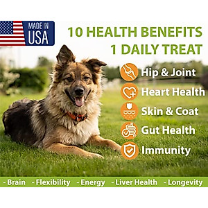 Googipet 10 in 1 Dog Multivitamin with Dog Probiotics for Gut Health, Dog Vitamins and Supplements with MSM & Glucosamine for Dogs Hip & Joint Support - Chondroitin & Omega 3 Fish Oil for Skin & Coat