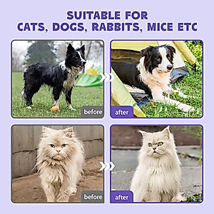 HICC PET Cleaning & Deodorizing Pet Bathing Wipes for Dogs and Cats, Nourish Fur Coconut Oil Gloves Grooming Wipes for Dog/Cat, Dog Cat Cleaning Wipes for Daily Care and Traveling - Unscented