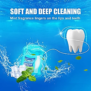 Dental Floss, Refreshing Mint Flavor, Professionally Clean Dental Floss, Portable Travel Case, Pack of 8 (800 Yds)