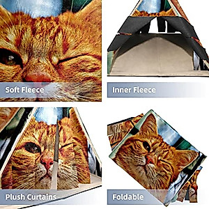 Y-DSIWX Guinea Pig Hideout Cozy Hamster House Cave for Bunny Chinchilla Hedgehog Small Animal Cute Wink Cat