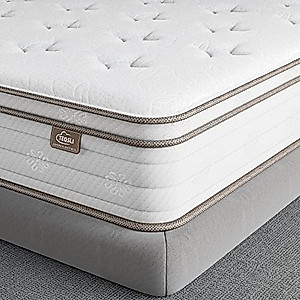 TeQsli Queen Mattress 12 Inch, Cool Eggshell Memory Foam and 7 Zone Pocket Innerspring Hybrid Mattress in a Box, Supportive Queen Bed Mattress, Breathable Cover 100 Nights Trial (TSB30Q-US)