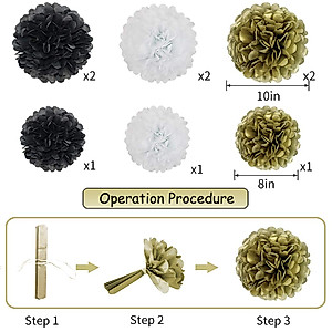 zilue Black Gold Party Decorations, Black Gold Paper Lanterns and Pom Poms Flowers for Birthday Party Graduation Masquerade New Years Party Decor 15PCS