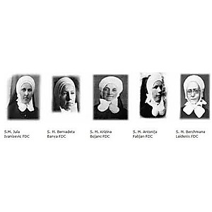 The Drina Martyrs (2007, Anto Bakovic, paperback)