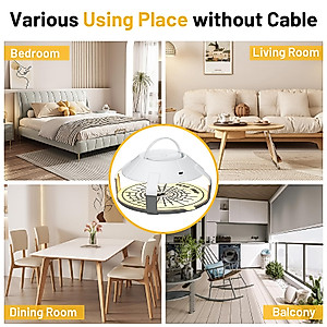 Rechargeable Flea Traps for Inside Your Home 2 Pack, Upgrade Indoor Electric Flea Trap with LED Light, Flea Insect Infestation Treatment Trap for Home and Garage W/8 Sticky 6.5” Disc Refills