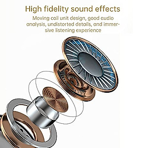 BZPIZ Bluetooth Headphones, Bluetooth 5.1 Headphones with Charging Case, Earphones IPX7 Waterproof,with Led Display, for Sports/Working