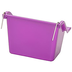 Living World Seed Cup with Perch, Large, Assorted