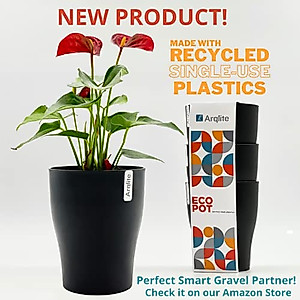Arqlite Smart Gravel Eco Plant Drainage for Healthy Roots | for Pots, Houseplants, & Decor | Lightweight (1 Gal)