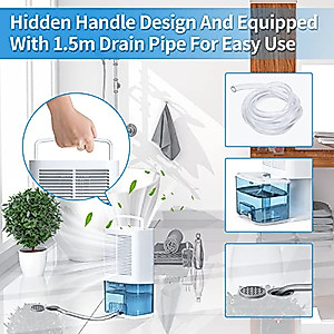 68oz 7900 Cubic Feet（810 Sq.ft）Dehumidifiers for Home Bathroom Room Basements,Quiet Dehumidifier With Drain Hose & Auto Shut Off, Portable Small Dehumidifiers for Bedroom Closet RV