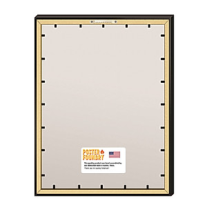 Pyramid America Framed Plexi Posters