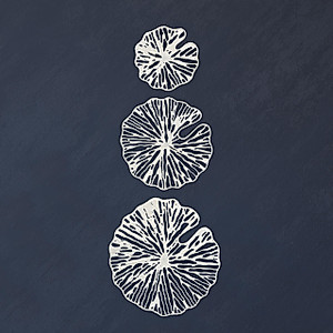 Creative Co-Op Handmade White Coral Shaped Paper & Metal Wall Décor (Set of 3 Sizes)