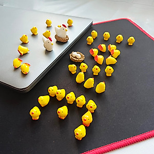 Chicken Shoe Charms Girls Decoration: Cute Chick Shoe Accessories for Clog Funny DIY Animal Shoes Matching for Party Birthday Gifts(10pcs)