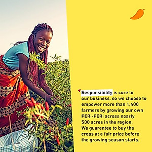 Nando's Original Spicy Mayo PERinaise - Flavored Mayonnaise Spread & Dressing - Gluten Free - 8.6 fl oz (3 Pack)