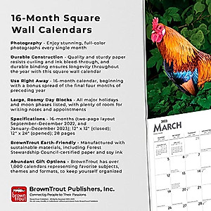 Roosters | 2023 12 x 24 Inch Monthly Square Wall Calendar | BrownTrout | Domestic Farm Barn Animals
