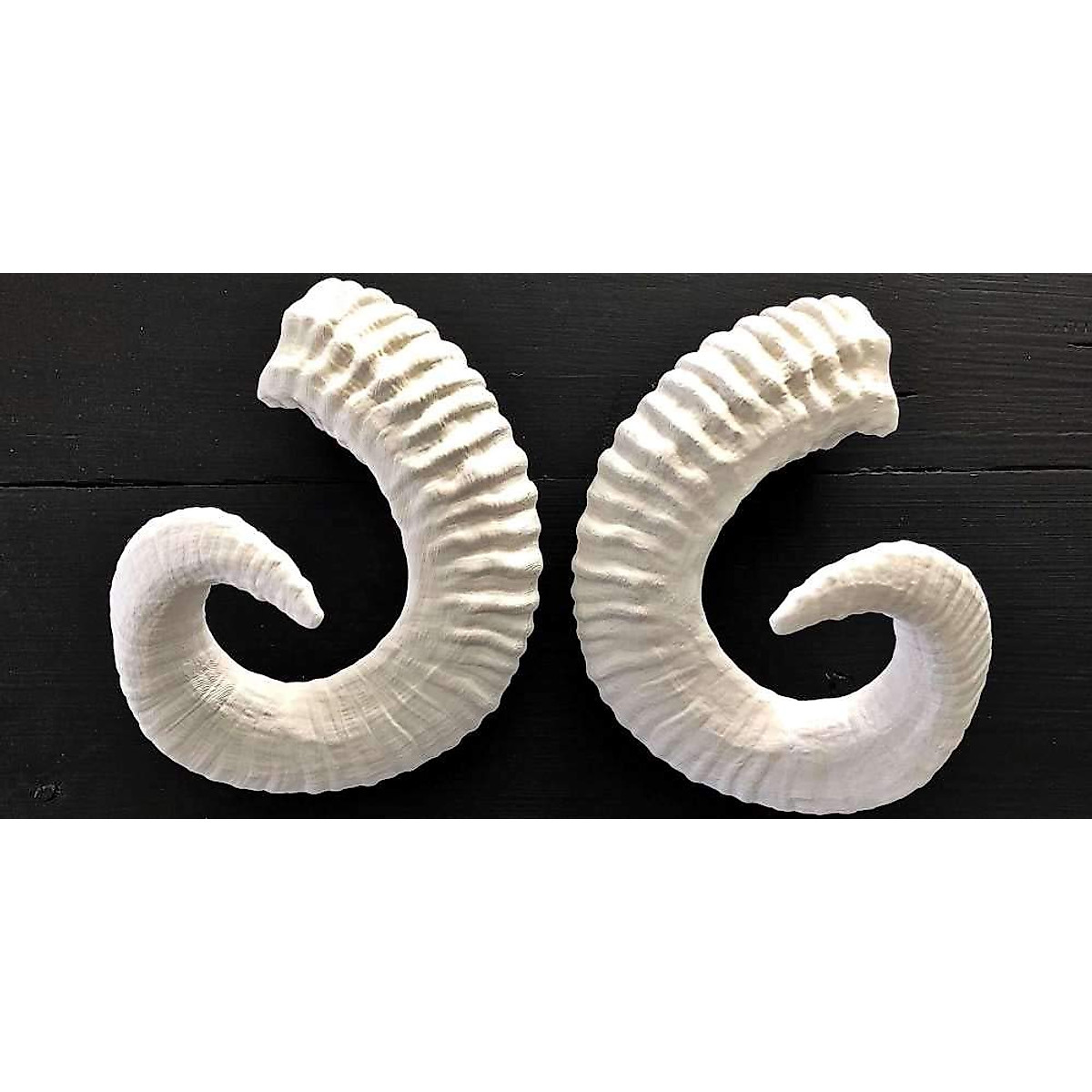 White PLA 1.75 filament - FilaCube PLA 2 pure white filament 1 kg 1.75mm 3D Printer filament [Made in USA] real PLA white PLA+ pro compatible FDM printer ender creality monoprice prusa anet makerbot