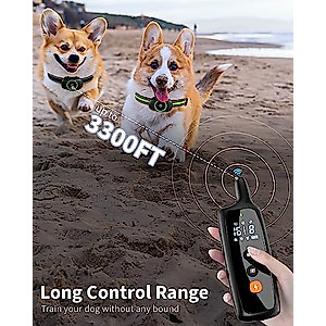 Dog Shock Collar for 2 Dogs, Dog Training Collar with Remote for Large Medium Small Dogs, Rechargeable E-Collar Waterproof Collars with 3 Training Modes, Range up to 3300Ft