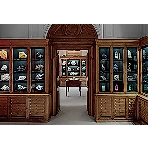 Timeless Paris: Ateliers Emporiums Savoir Faire