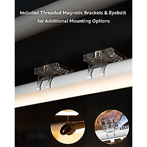 Aputure amaran PTC LED Tube Light Kit Video Light (amaran PT4c 2-Light Kit)