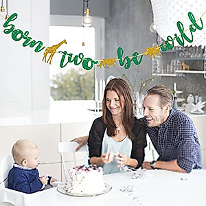 Born Two Be Wild Banner, 2nd Birthday Supplies, Jungle Theme Party Banner Sign, Green Glitter Baby Shower Party Decorations, Cheers to Two Years Old Party Hanging Banner