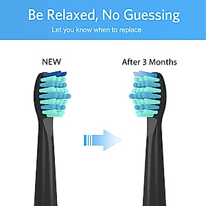 Toothbrush Heads for FairyWill, Replacement Brush Heads for Fairy Will, Electric Toothbrush Replacement Heads for Fairywill FW-507/508/551/515/917/959, FW-D1/D3/D7/D8