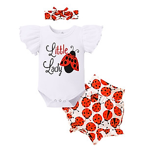 Ladybug Outfit for Baby Girl Newborn Romper Shorts Pants Bowknot Headband Hawaii Ladybug Themed Birthday Party Supplies Decorations Half 1st Birthday Coming Home Cake Smash Red - Ladybug 9-12 Months